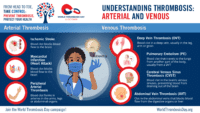 Fact Sheet: Understanding thrombosis - World Thrombosis Day